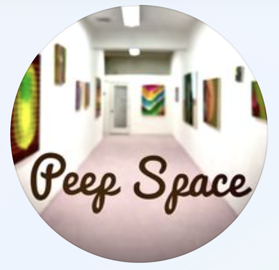 PeepSpace – contemporary visual art project space artist run