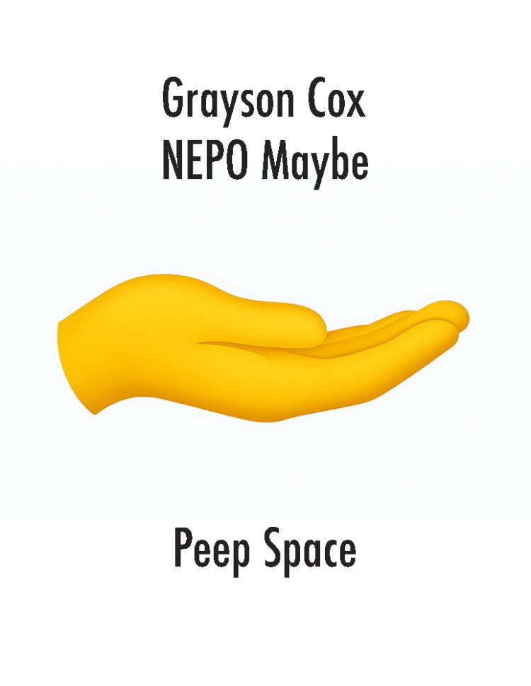 Open Call Opportunities – PeepSpace